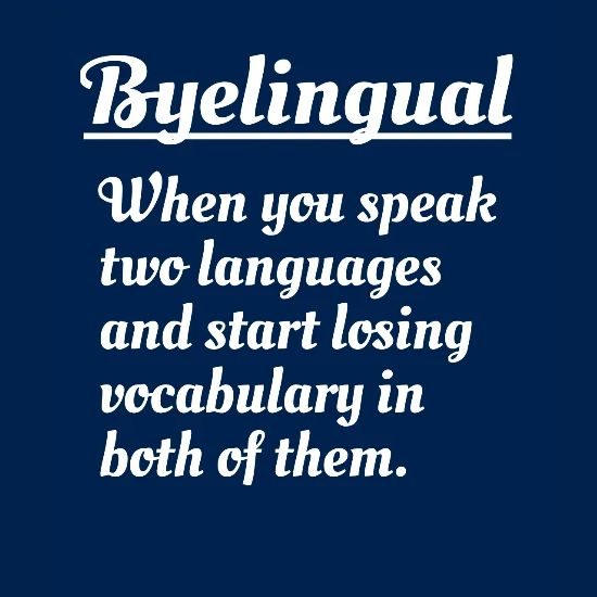 Bilingual Funny Quotes FUN WITH DUNGLISH. Leuk! Grappig!... The