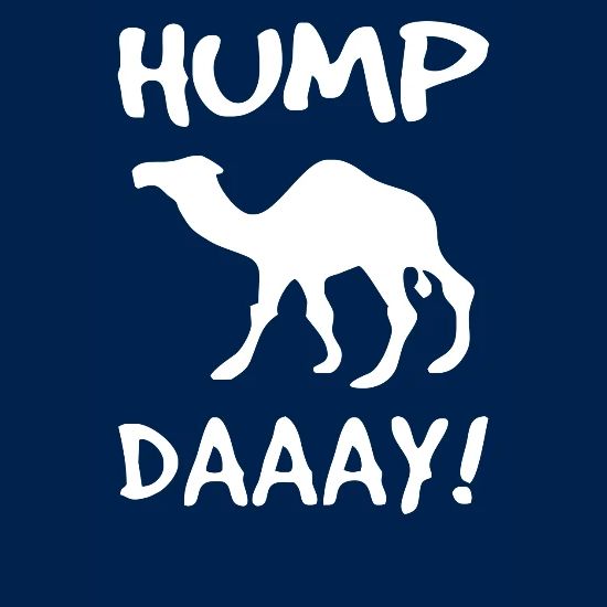 Images For Hump Day Ad Of The Day: It's Hump Day All Over Again In