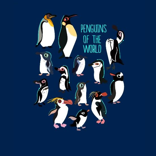 Penguins Animal Infographic Poster 24x36 Penguin Facts Amazon.com: (24