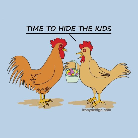 Funny Chicken Pictures Cartoons