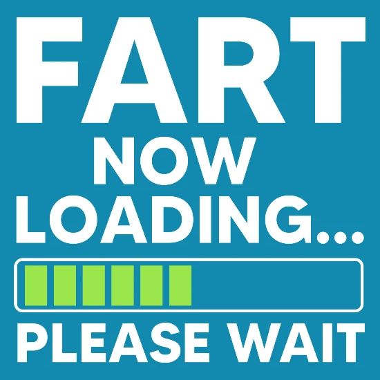 Fart Now Loading Please Wait Fart Loading / Pet / Humor T Shirt