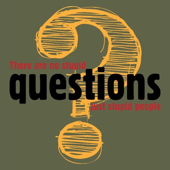 Ignorant Questions David Thorne Favorites #4: 10 Stupid Questions