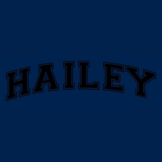 Hailey College Logo