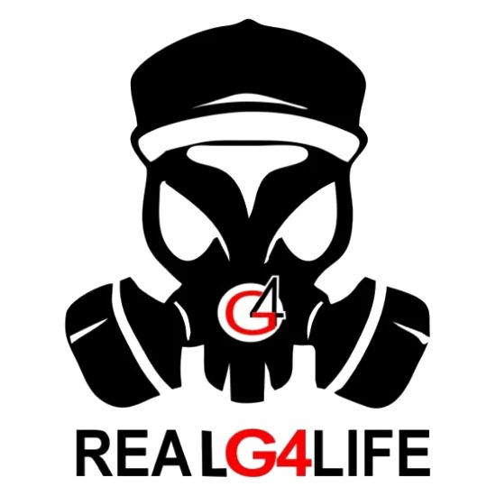 Realgforlife Logo DJ Skins® Pioneer DJ DDJ FLX10 Skin Calipso
