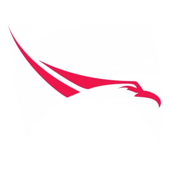 Falcon Heavy Logo