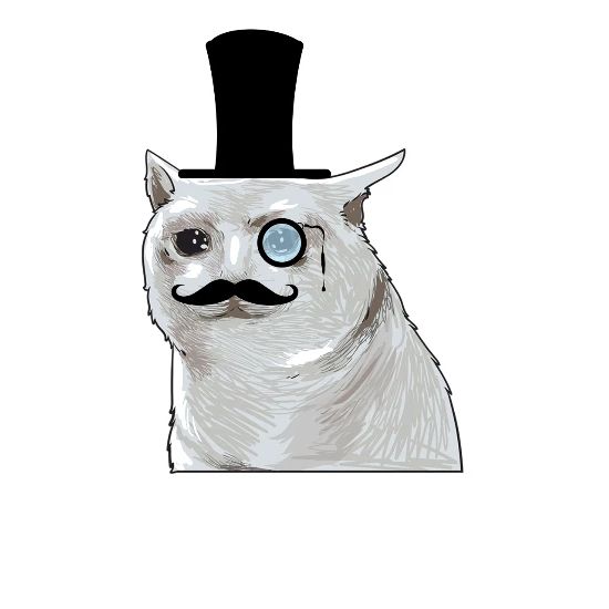Top Hat Cat Memes 😂Cat Meme: The Best Cat Videos Of 2024 🐱