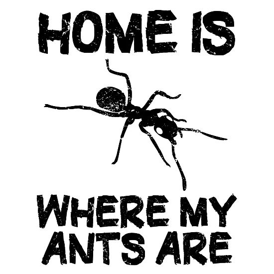 Funny Ant Quotes Ant Meme Png Sarcastic Quote Sublimation Designs