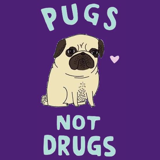 Pugs Not Drugs
