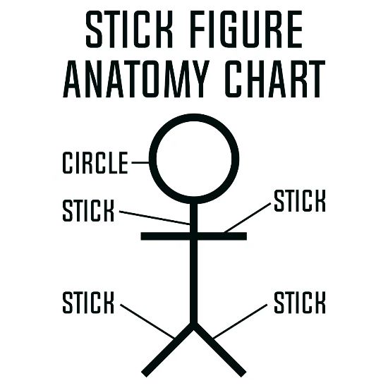 Stick Figure Anatomy