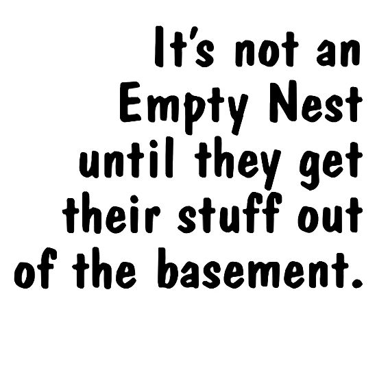 Funny Empty Nest Quotes 30 Day Challenge To Empty Nest Success: Your