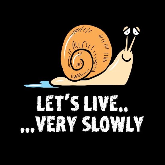 Slow Snails Funny Animal Gifs Snail Gifs Of Funny Animals Gifs