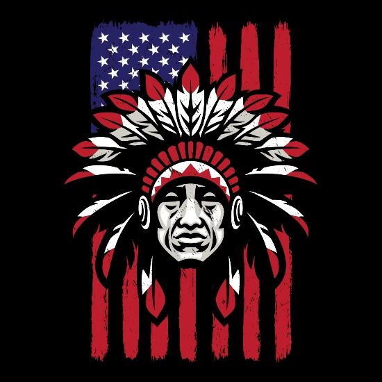 Native American Indian Chief Flag Amazon.com : AZ FLAG Indian With