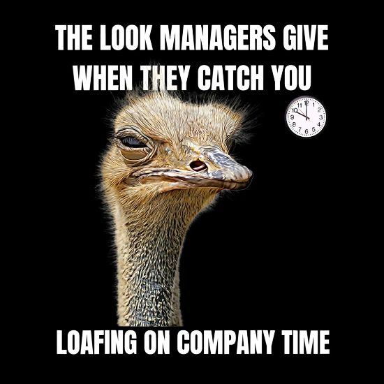 Social Loafer Memes This Example Is The Clearest I Have Seen. | Bryan
