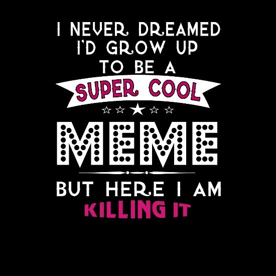 Super Cool Meme Very Good Very Nice Spiderman Care Factor Zero