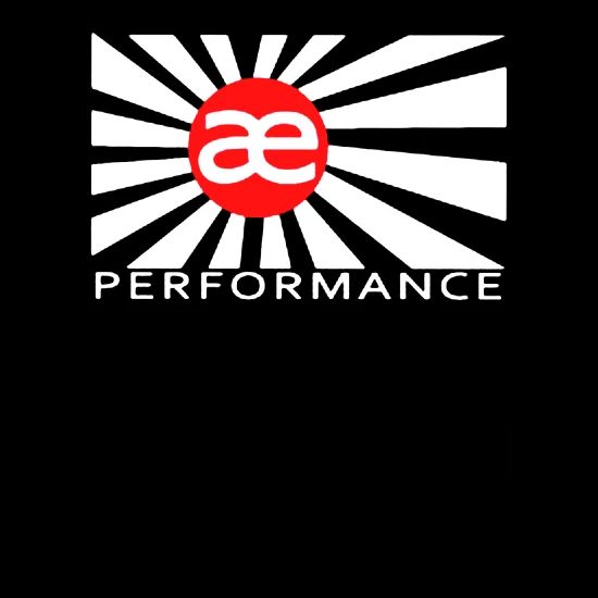 Ae Performance Logo NIKAI Logo, Vector Logo Of NIKAI Brand Free
