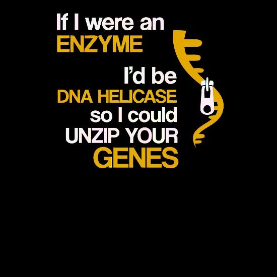 Helicase Memes Frfr . Follow @mouthsandpipettes #biomemes