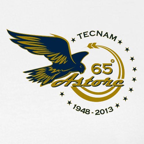 Tecnam Logo