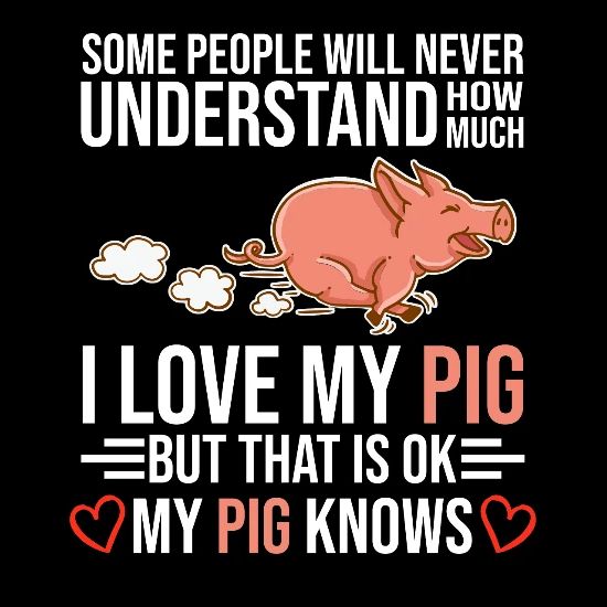 Love Pig Quotes 13 Piggy Caption Ideas | Pigs Quote, Pig, Cute Pigs