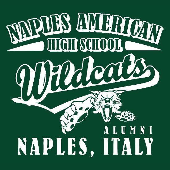 Naples American High School Naples