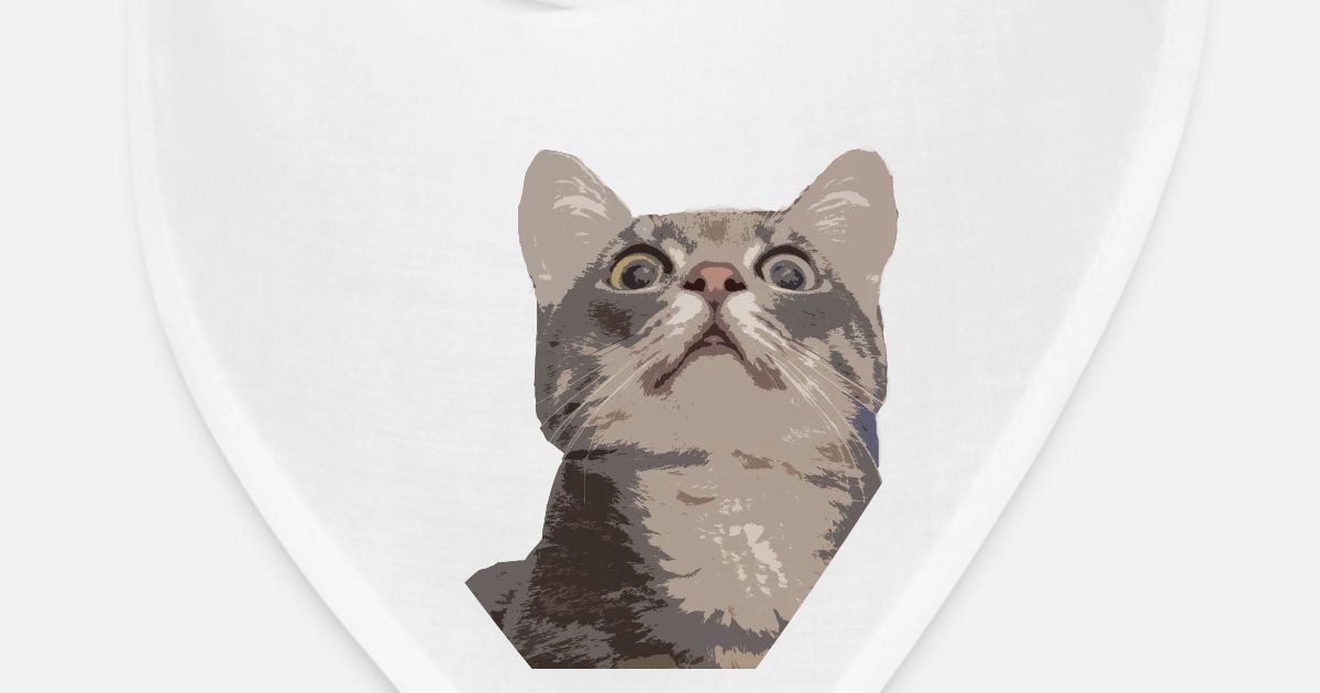 Santa Lolcat Christmas Carols With LOLcats | The Skinny On My Jeans