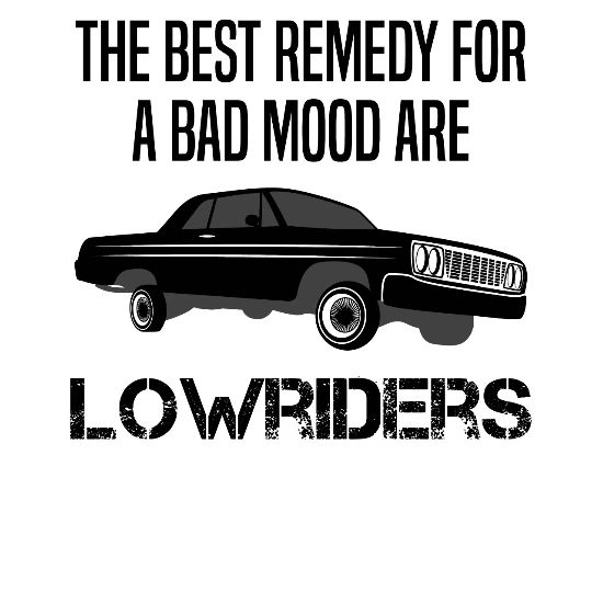 Funny Lowrider Quotes You Are The Driver Of Your Own Success, Funny