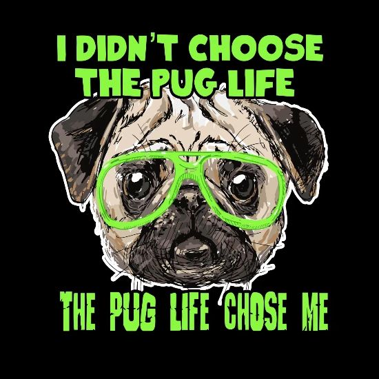 Pug Life Shirt