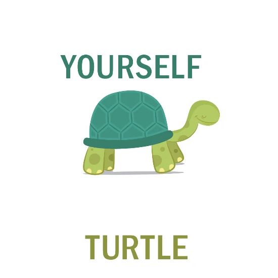 Funny Turtle Pictures With Quotes