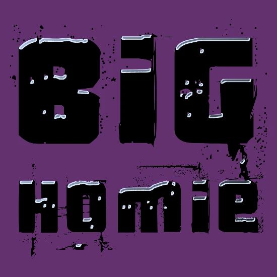 Big Homie Logo Homie – Household Appliances Industry Goes Circular