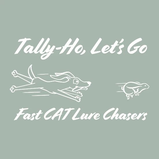 Fastcat Logo FAST CAT – DZK9 Designs