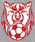 Cheetah Soccer Logo