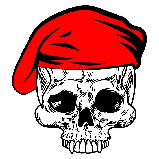 Skull Red Beret
