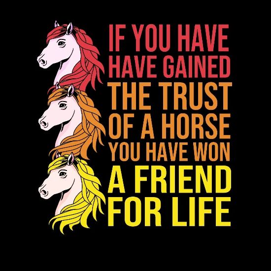 Horse Show Friend Quotes 250+ Inspirational Horse Quotes For Riders
