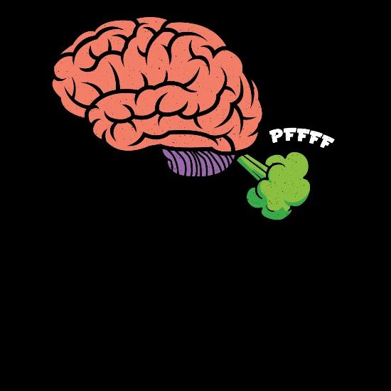 Brain Fart Brain Fart! Fat Brain Toys