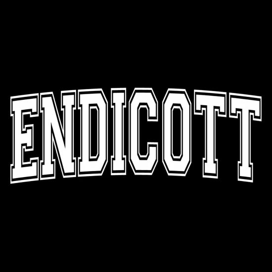 Endicott Ny