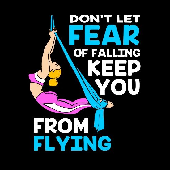 Aerialist Quotes