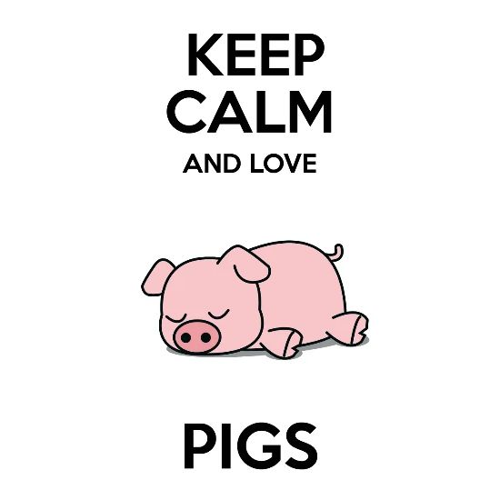 Cute Pig Quotes 25 Pig Quotes To Adore The Lovable Swine (2025)