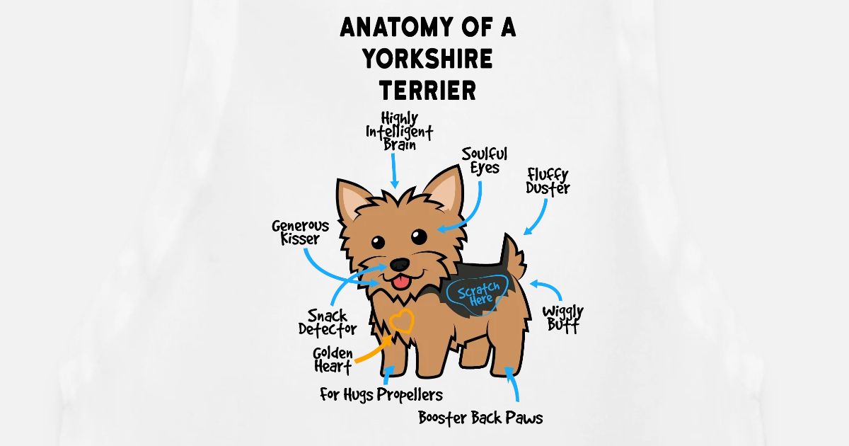Anatomy Of A Yorkshire Terrier Apron | Spreadshirt