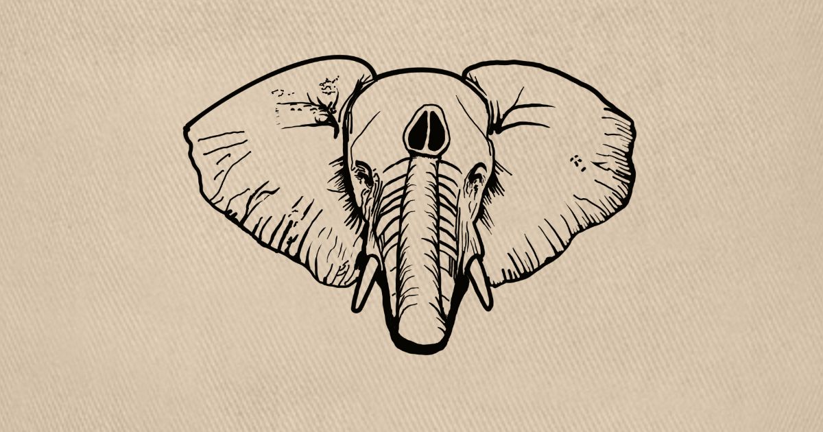 Elephant Front View With Trunk Up