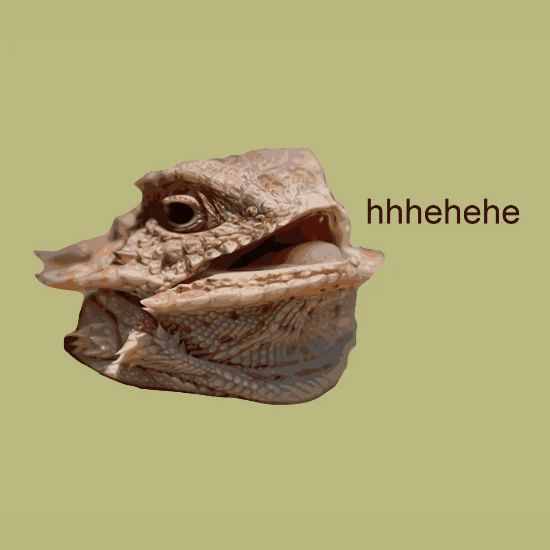 Iguana Hehehe Memes