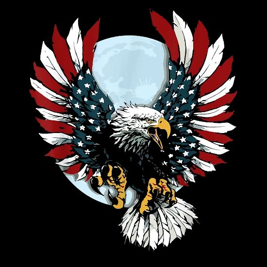 Flying Patriot Eagle Wall Hangings Home Décor etna.com.pe