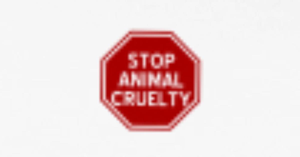Animal Abuse Warning Signs