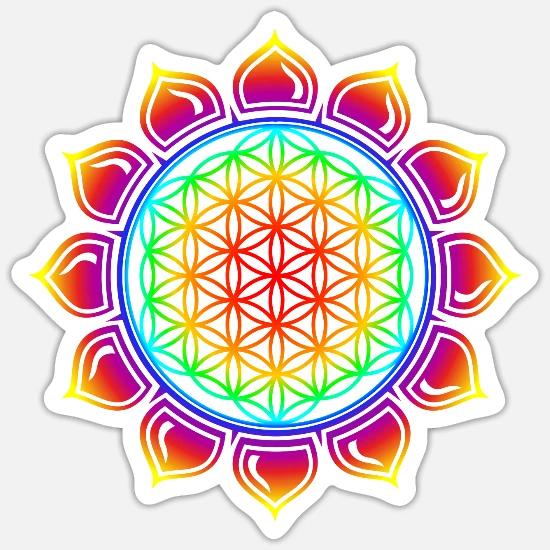 Lotus Flower Chakra | Best Flower Site