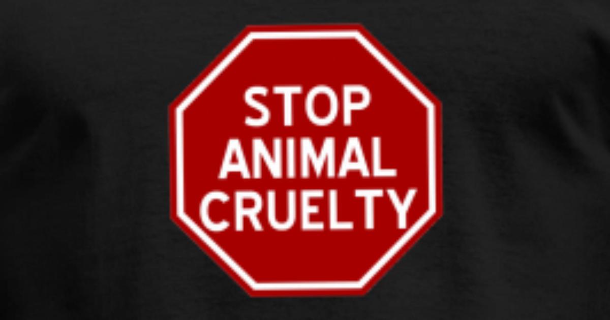 Animal Abuse Warning Signs