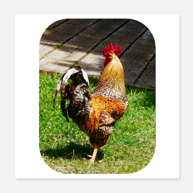 Strut Posters | Unique Designs | Spreadshirt