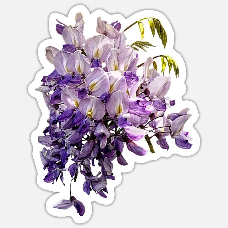 Wisteria Stickers | Unique Designs | Spreadshirt
