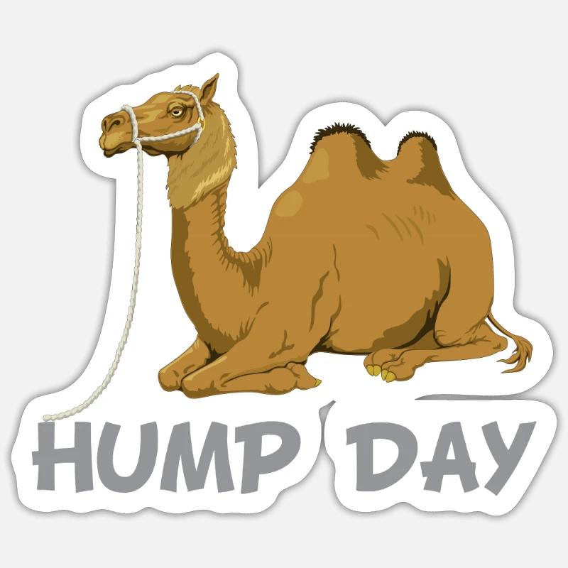 Camel Hump Day