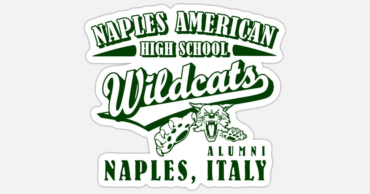 Naples High Alumni Community School Of Naples (Top Ranked Private