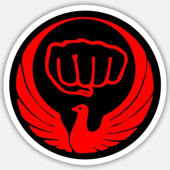 Karate Dkv Logo