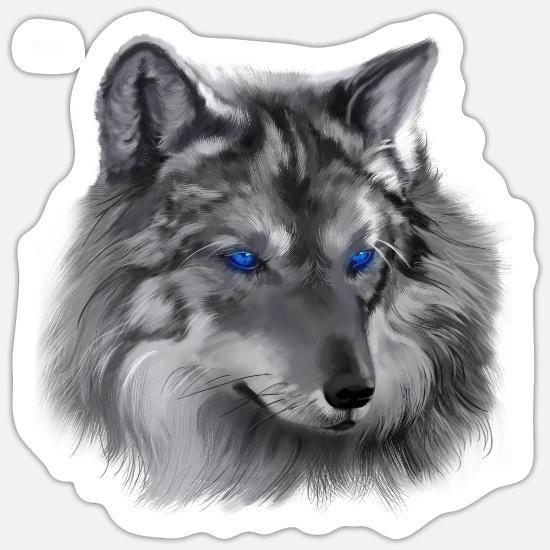 Gray Wolf Face Blue Eyes Wolf Face. Captured This Grey Wolf Face
