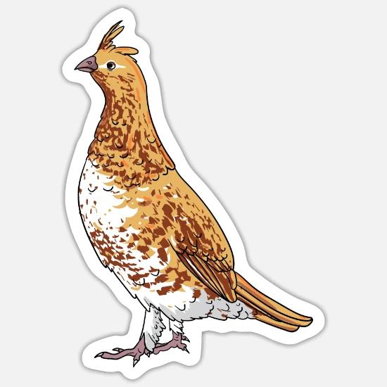 Pennsylvania State Bird Nature: Friendliness Is A Good Thing, Isn't